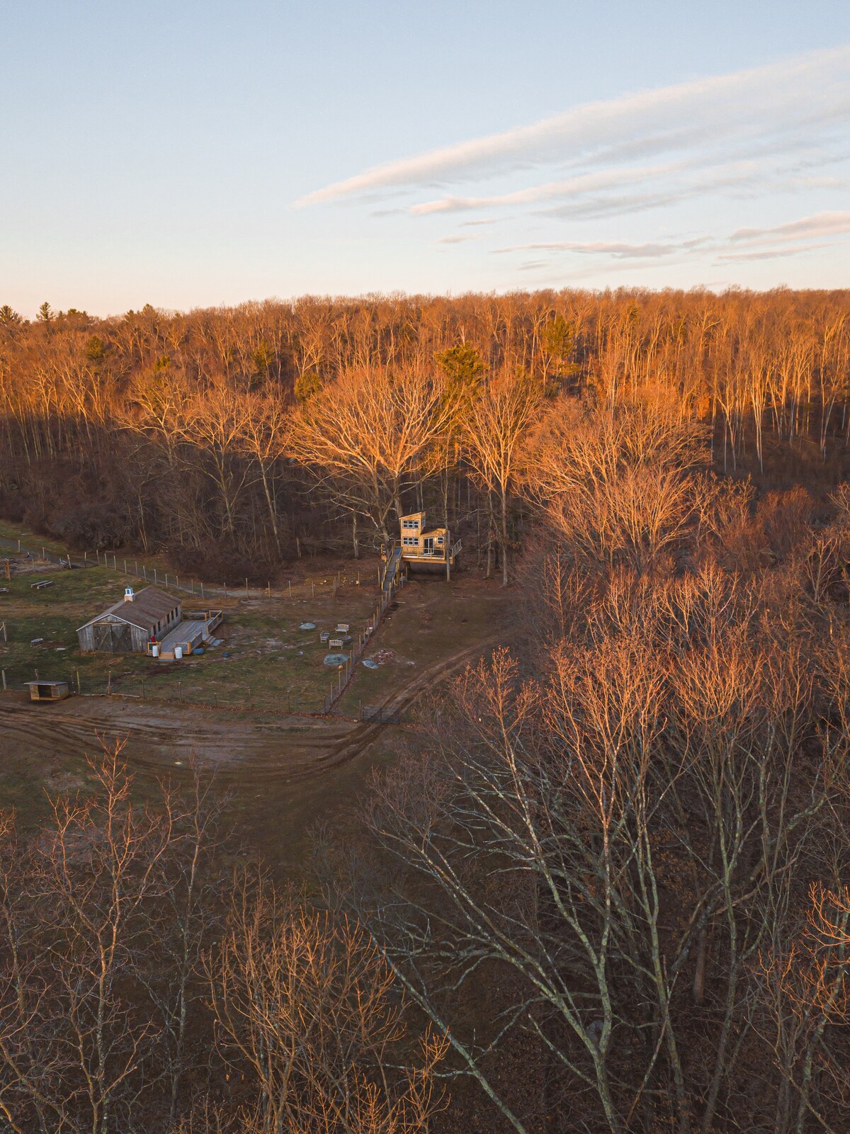 Treehouse - Countryside - Farm Animals - Fire Pit | Willington | Mill ...