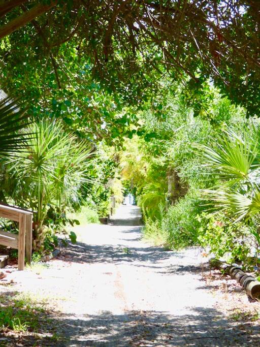 Jewel of the Sea: Spacious family home, dock access, short walk to the ...