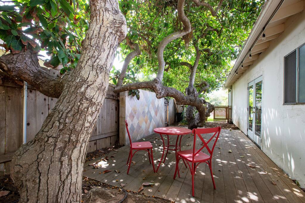 Inviting Backyard And Close To Beaches - Beautiful Charming Retreat - Encinitas, CA